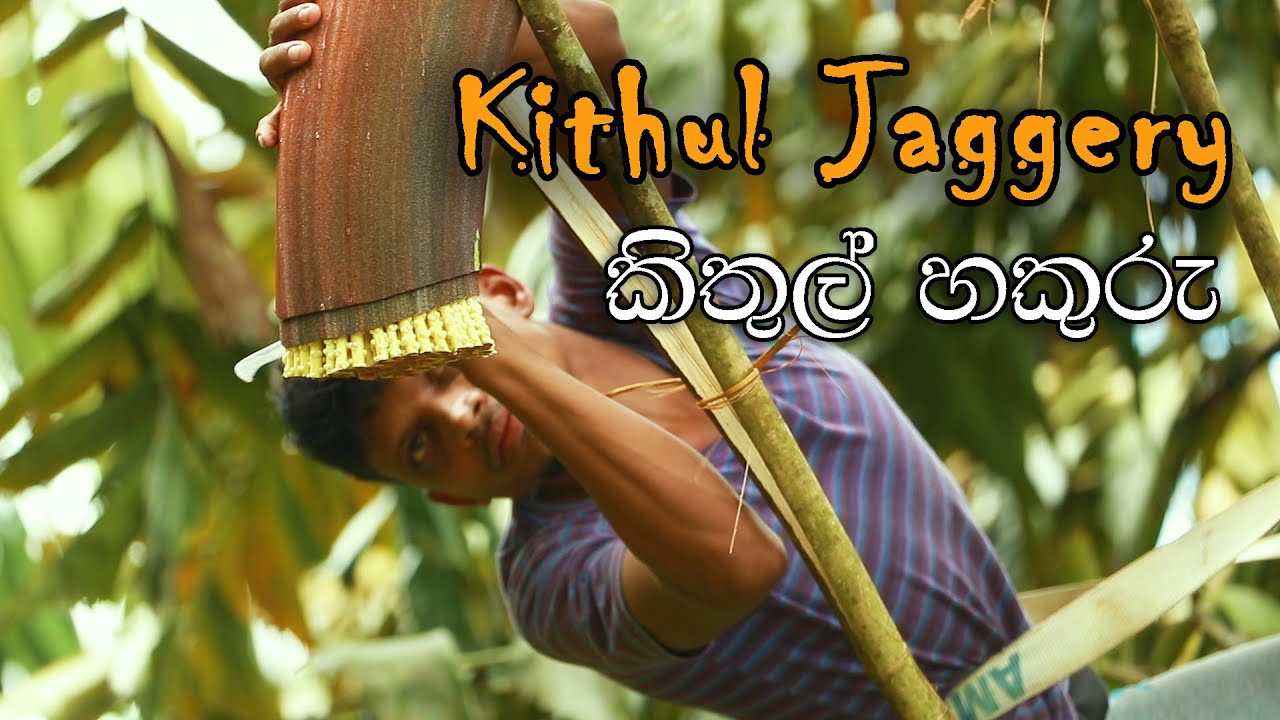 How to prepare "Kithul Jaggery"? - කිතුල් හකුරු - YouTube