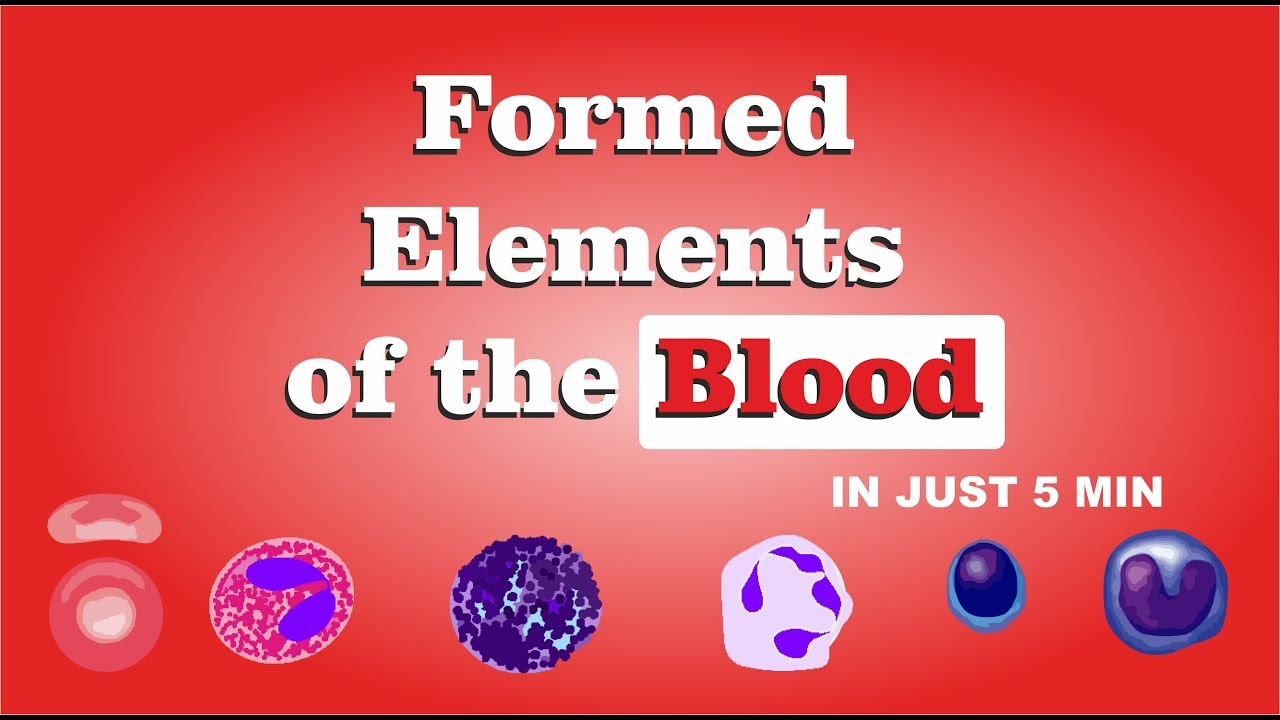 Formed Elements of the Blood IN JUST 5 MIN - YouTube