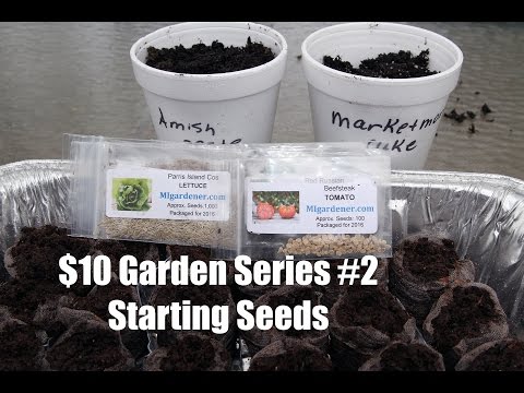Mike's Garden Info: DIY SEED STARTING KITS