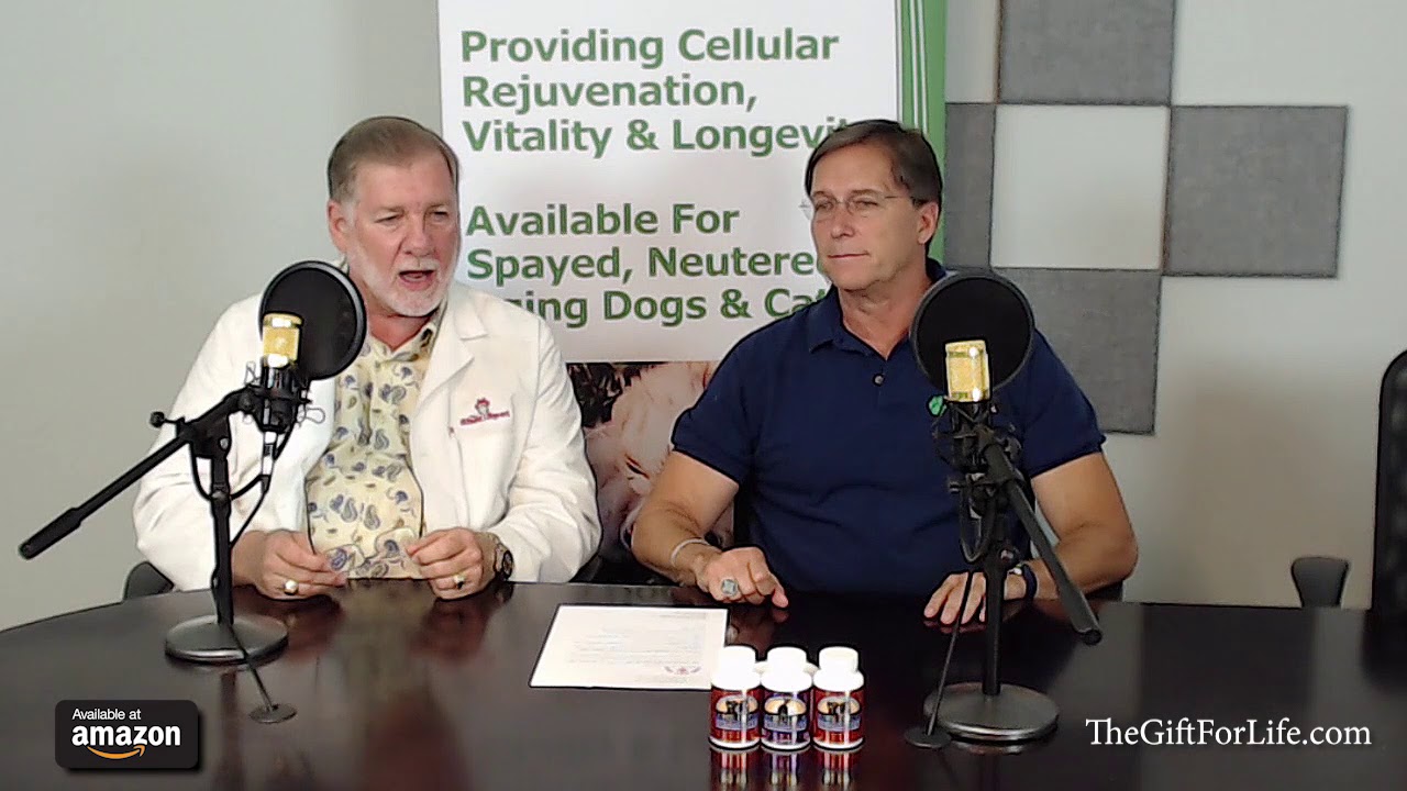 TGFL Weekly Questions With Dr Danny Week 3 - YouTube