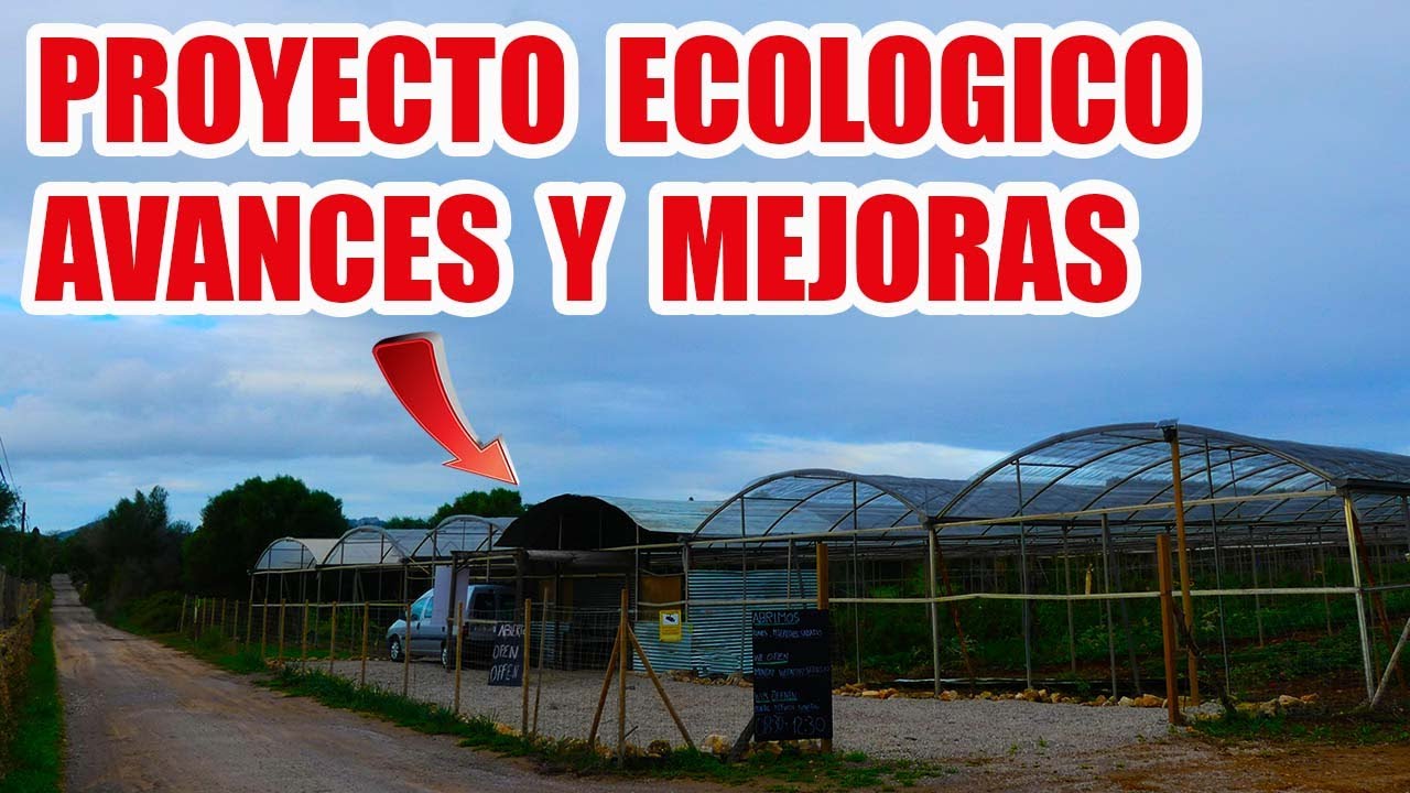 PROYECTO ECOLOGICO // AVANCES Y MEJORAS + PERSPECTIVAS DE FUTURO ...