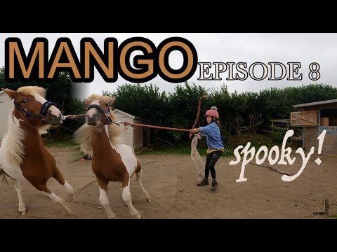 MANGO episode 8 ~ SPOOKY SESSION! - YouTube