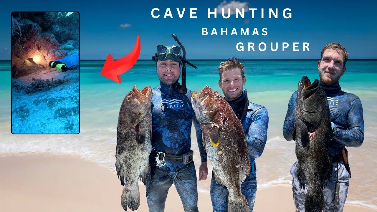 Cave Hunting Grouper | Abacos Bahamas - YouTube