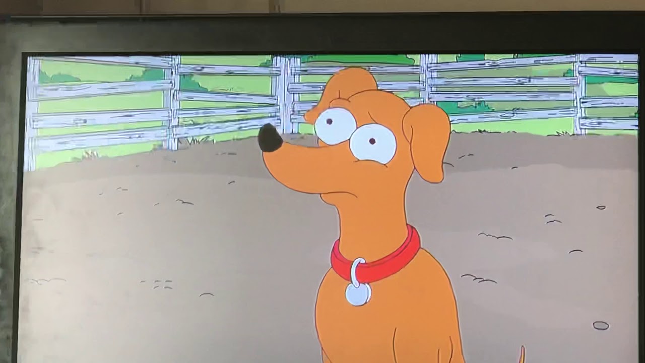 Bart dog can not kill a bird - YouTube