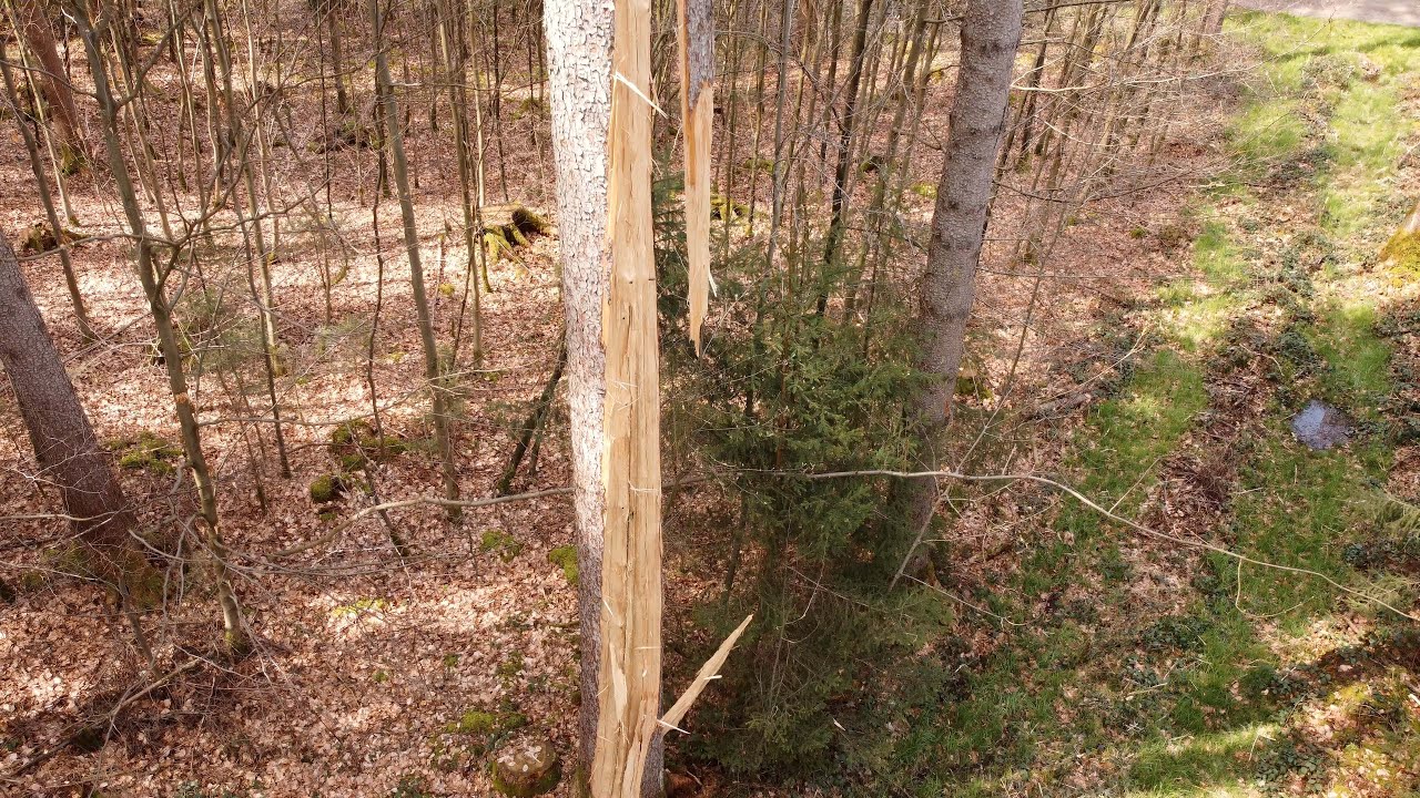 Tree explodes after lightning strike - YouTube
