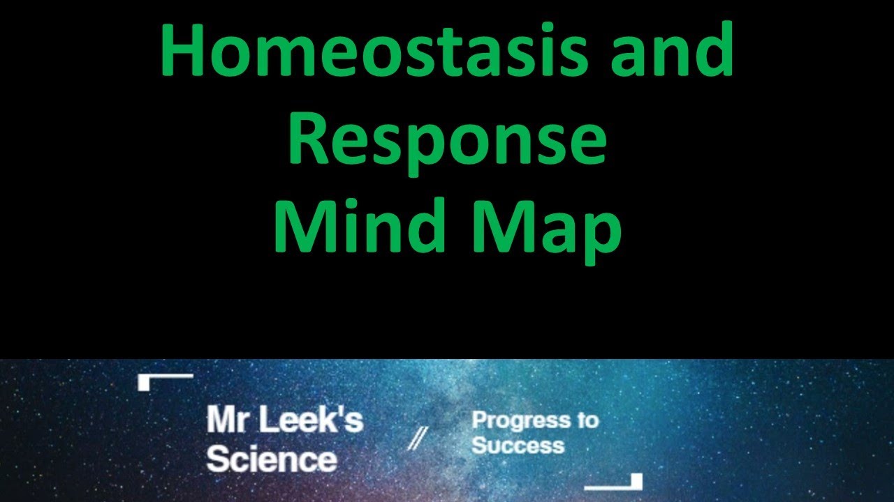 15 Homeostasis and response mind map for AQA combined and triple ...