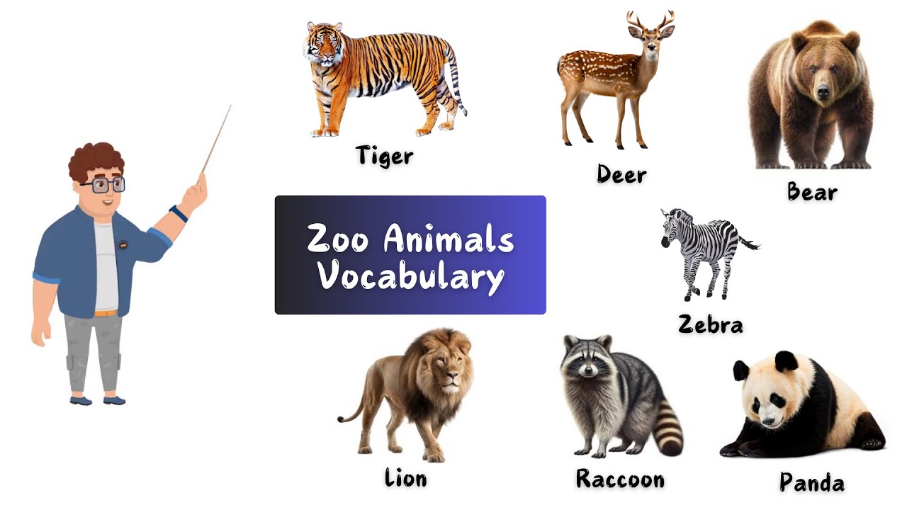 Zoo Animals Vocabulary | Fun English Learning for Kids and Beginners ...