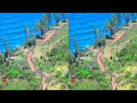 3D Video Hawaii Nature Scene - 3D Video Everyday N°377