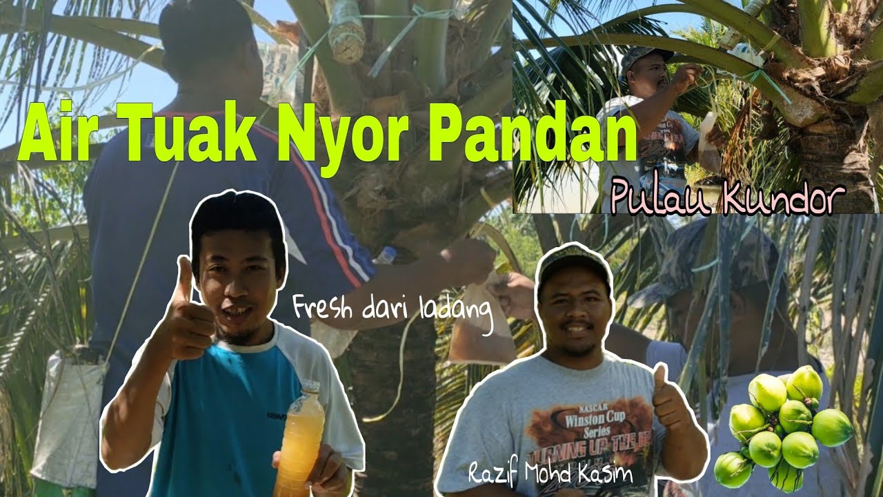 Air Tuak nyor minuman warisan, Kampung Pulau Kundor, Kota Bharu ...