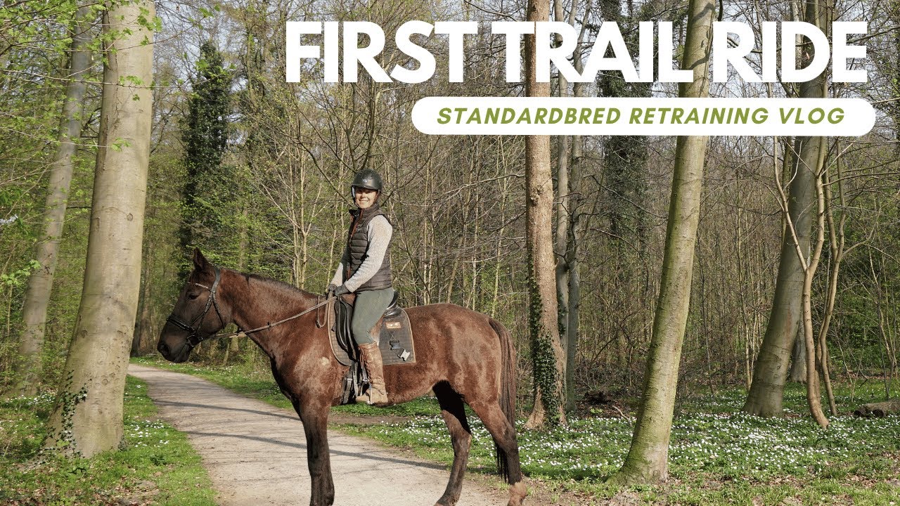 Standardbred Retraining Episode 4: First Trail Ride (GoPro) - YouTube