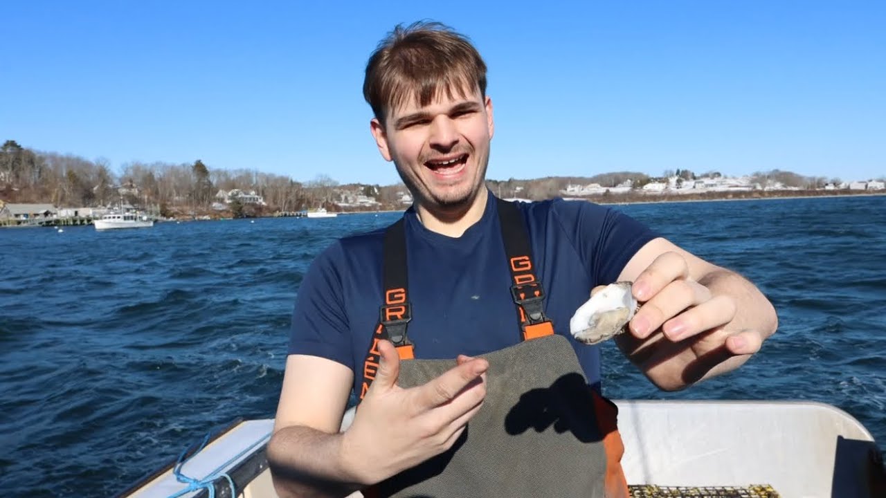 Oyster Fishing On The Coast Of Maine! Hunting, Catching And Eating ...