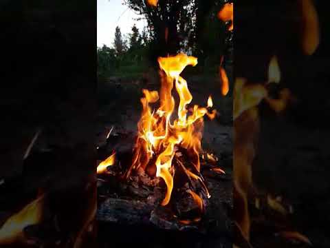 Kürtçe kilip nızanım