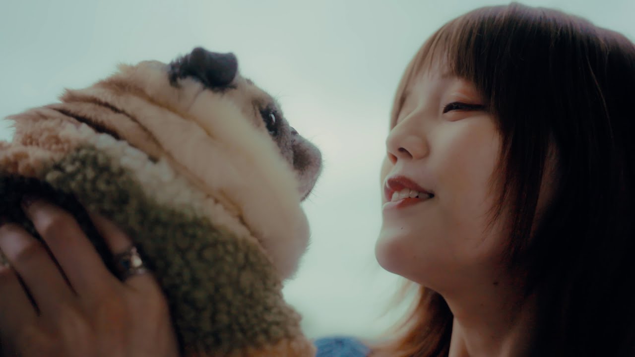 YOAKE「ねぇ」Official Music Video - YouTube