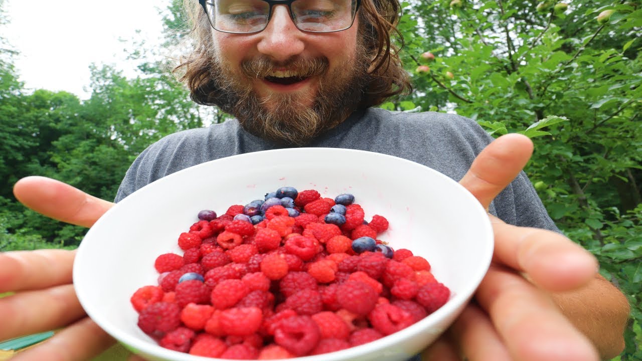 Harvesting MULTIPLE Types of Fruit From Sustainable Permaculture Food ...