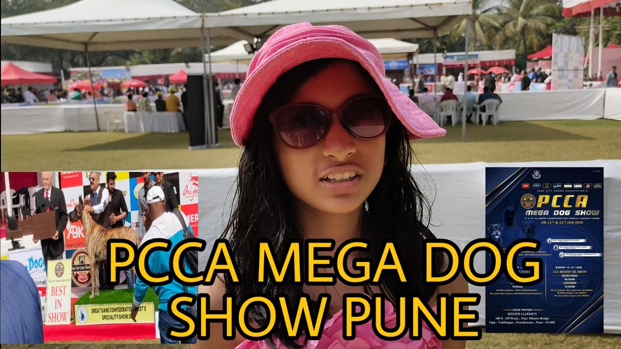 PCCA Mega Dog Show 2020 Pune.9th & 10th All breed championship Day 1 ...