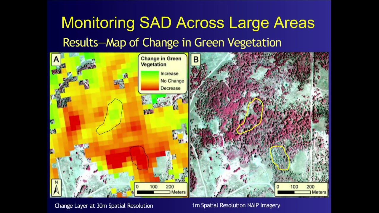 Monitoring Aspen Using Remote Sensing - YouTube