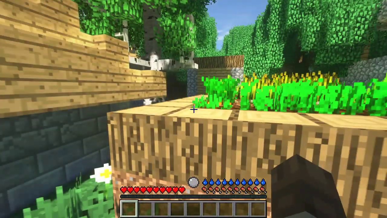 RLC Mine Craft - YouTube