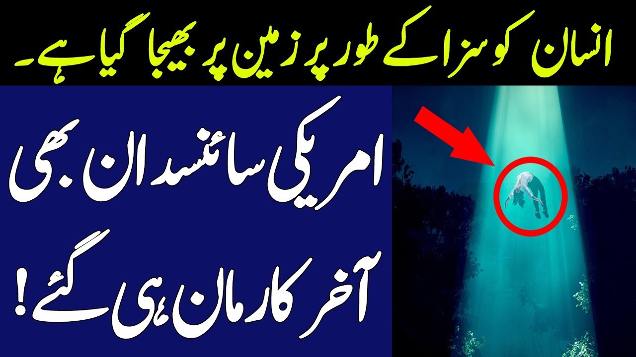 Dr Ellis Silver's Theory, Humans Are Not From Earth | Islamic Solution ...