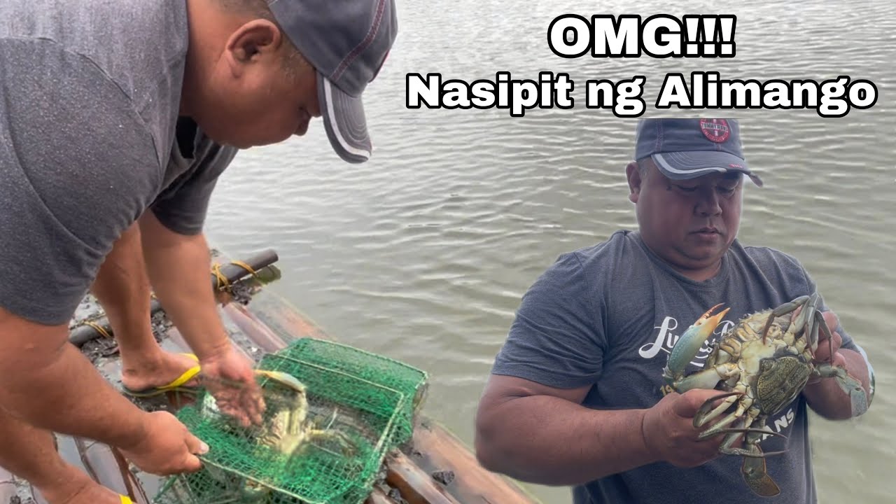 Nasipit ng Alimango si Bossing - YouTube