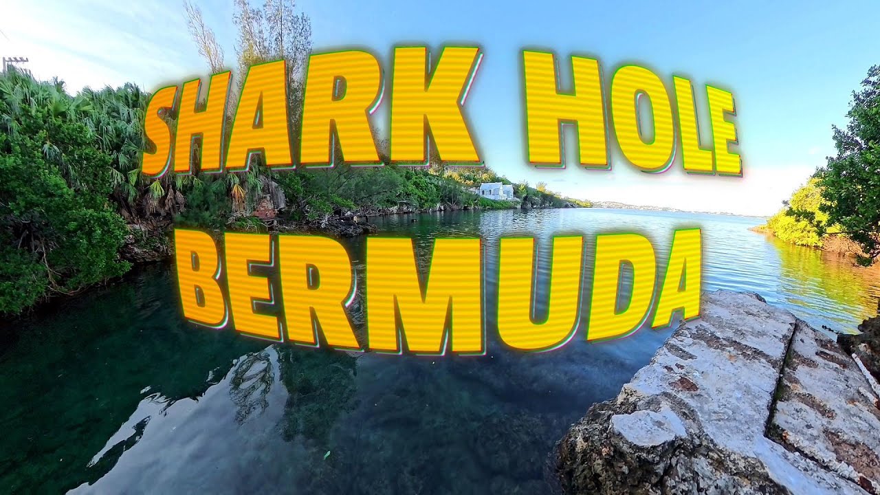 SHARK HOLE BERMUDA SEPT 19 2025 - YouTube