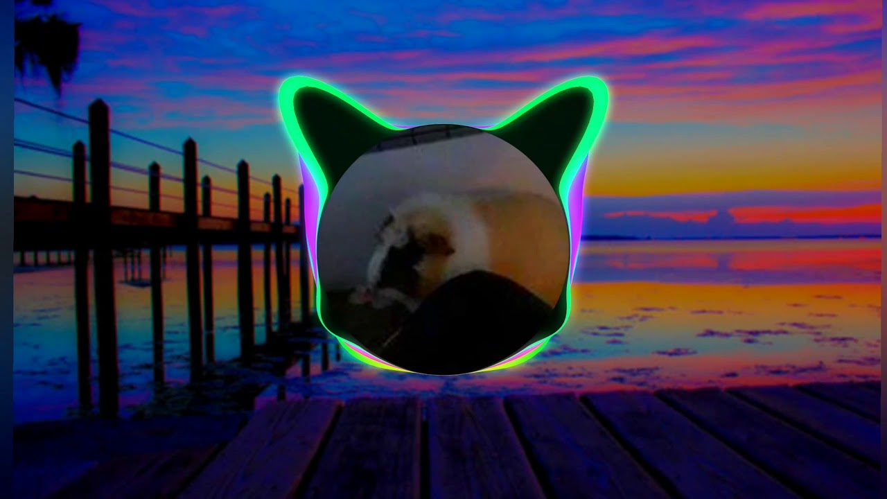 Spy_Evan's intro song! - YouTube