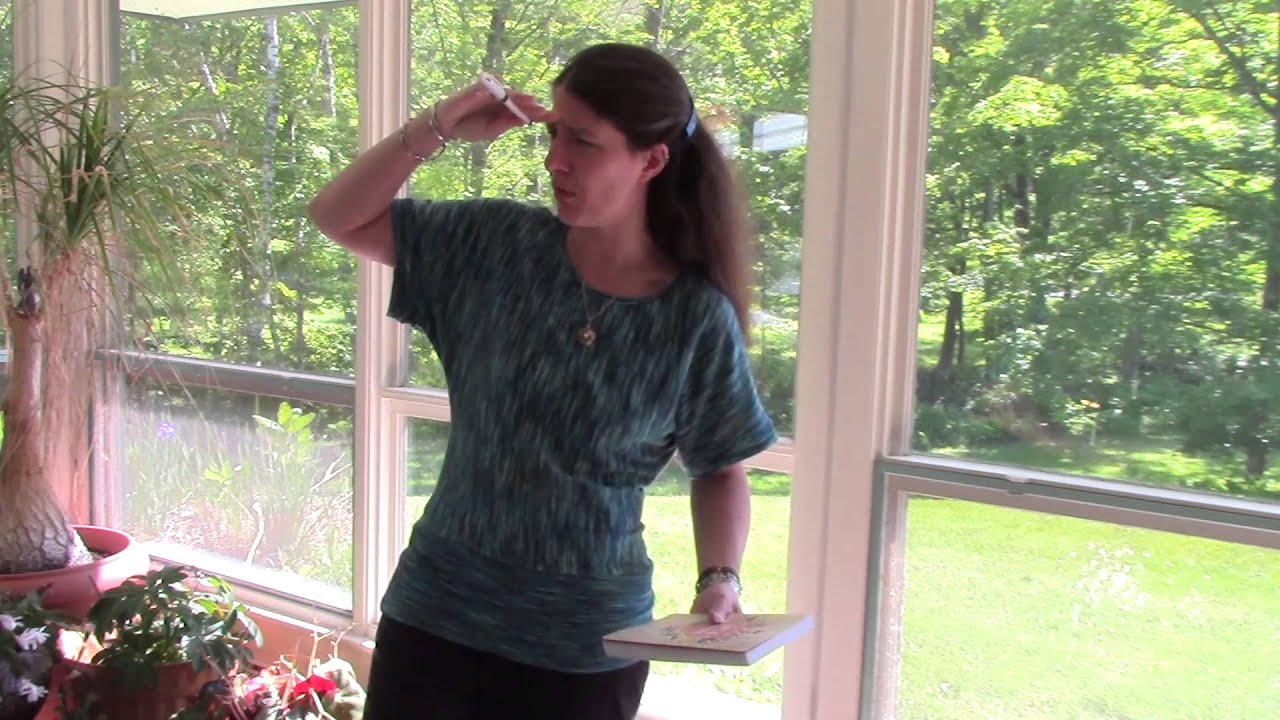 William Shakespeare's Sonnet 77 - YouTube