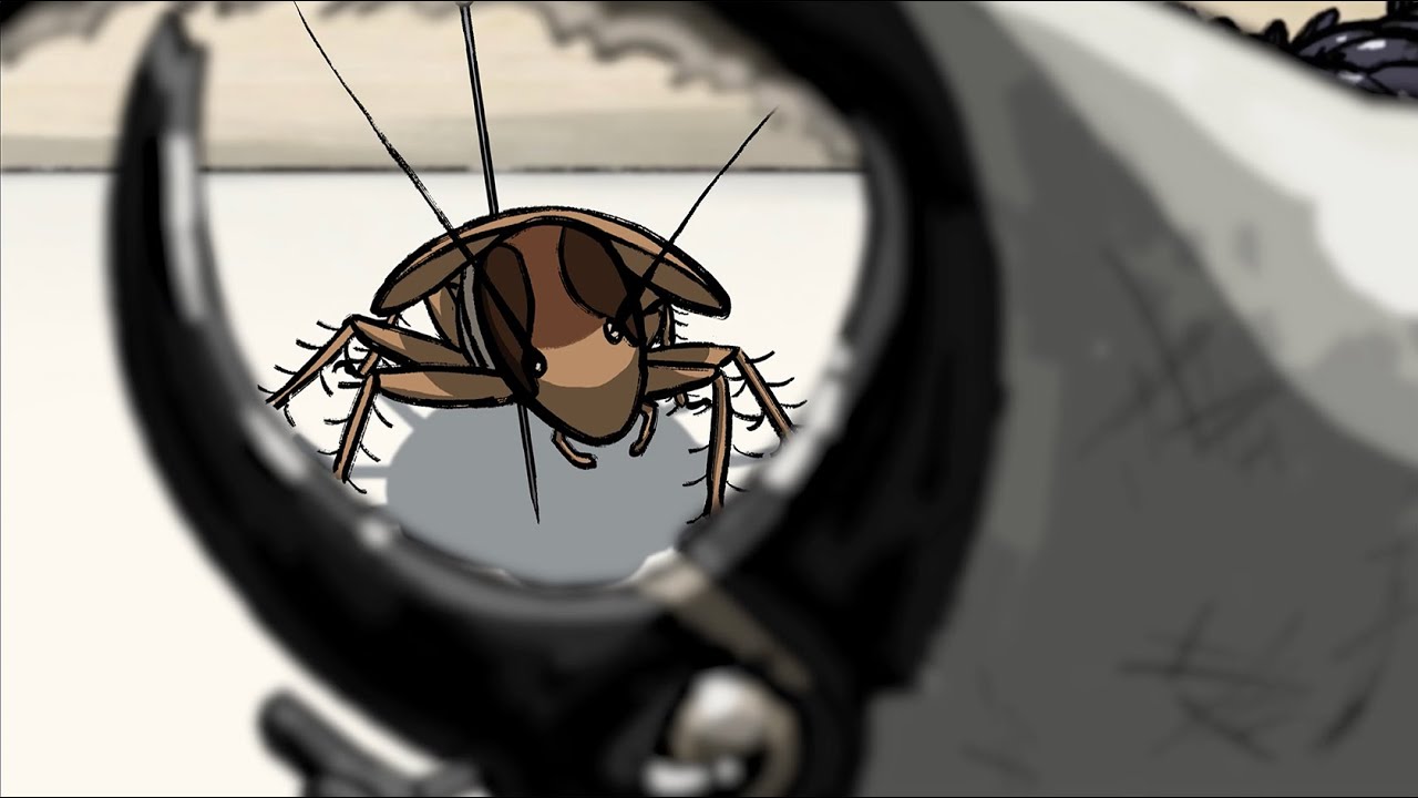 Animation: Roach - YouTube