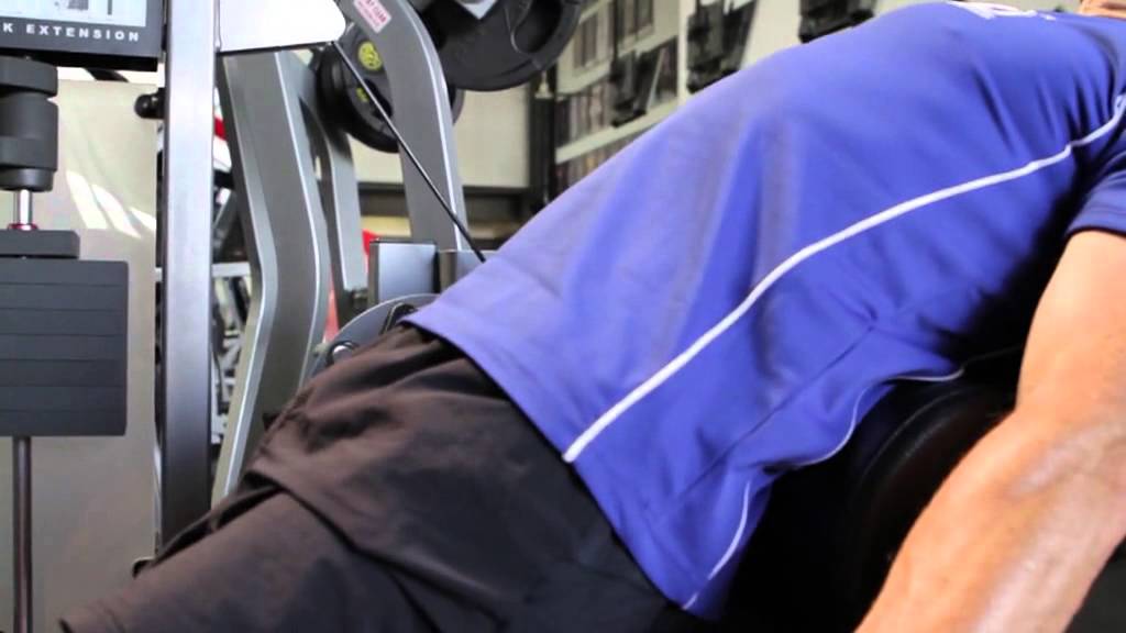Lower Back - Lumbar Extension Machine (B61) - YouTube