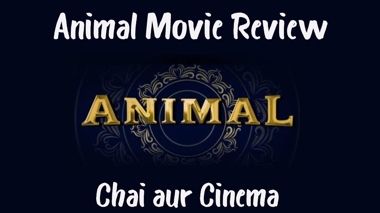 Animal Movie Review | Chai aur cinema - YouTube