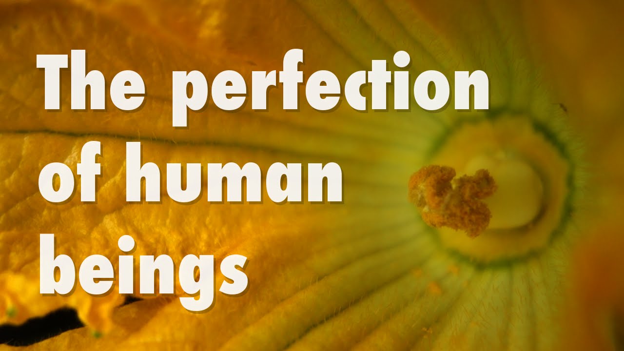 The Veganic Garden - The Cultivation of Human Beings - YouTube