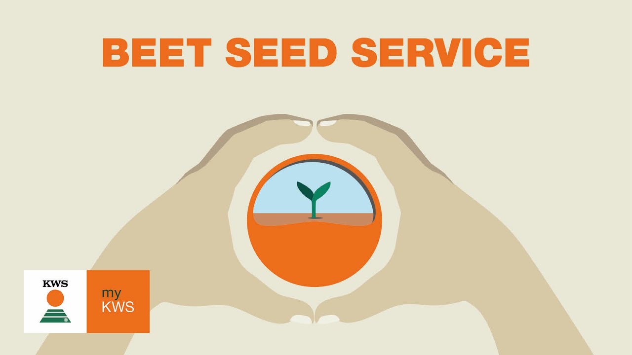 What is the KWS Beet Seed Service? - YouTube