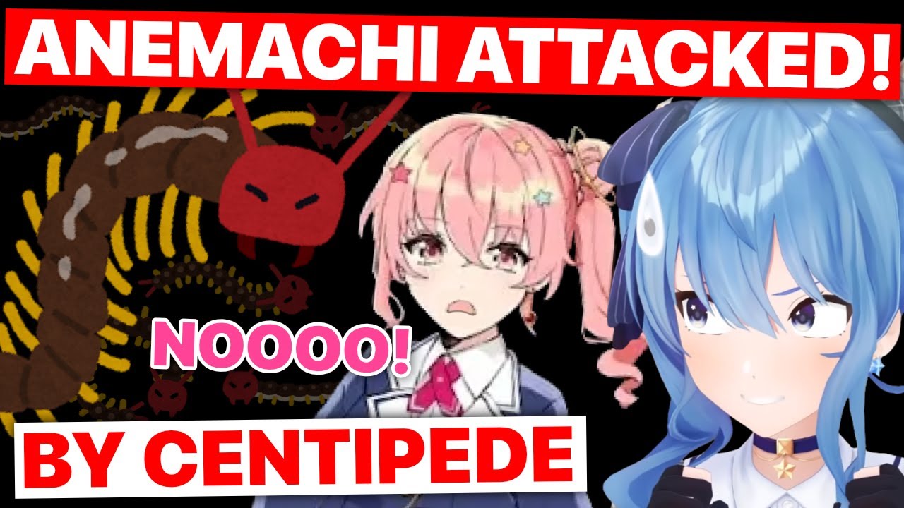 Anemachi Attacked By Centipede (Hoshmachi Suisei / Hololive) [Eng Subs ...