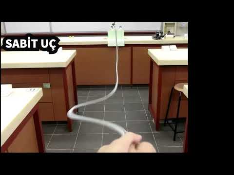 Yay Dalgalarında Yansıma: Sabit Uç – Serbest Uç