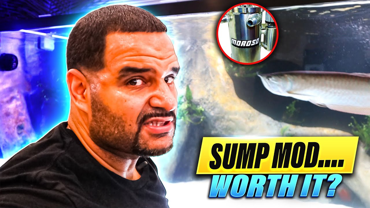 I Upgraded My Seamless Sump! (Simple Hack) - YouTube