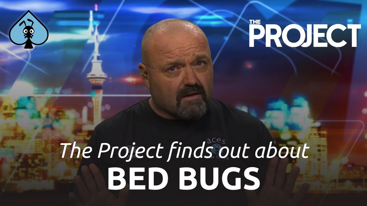 bed bug pest control auckland. The PROJECT finds out about bed bugs ...