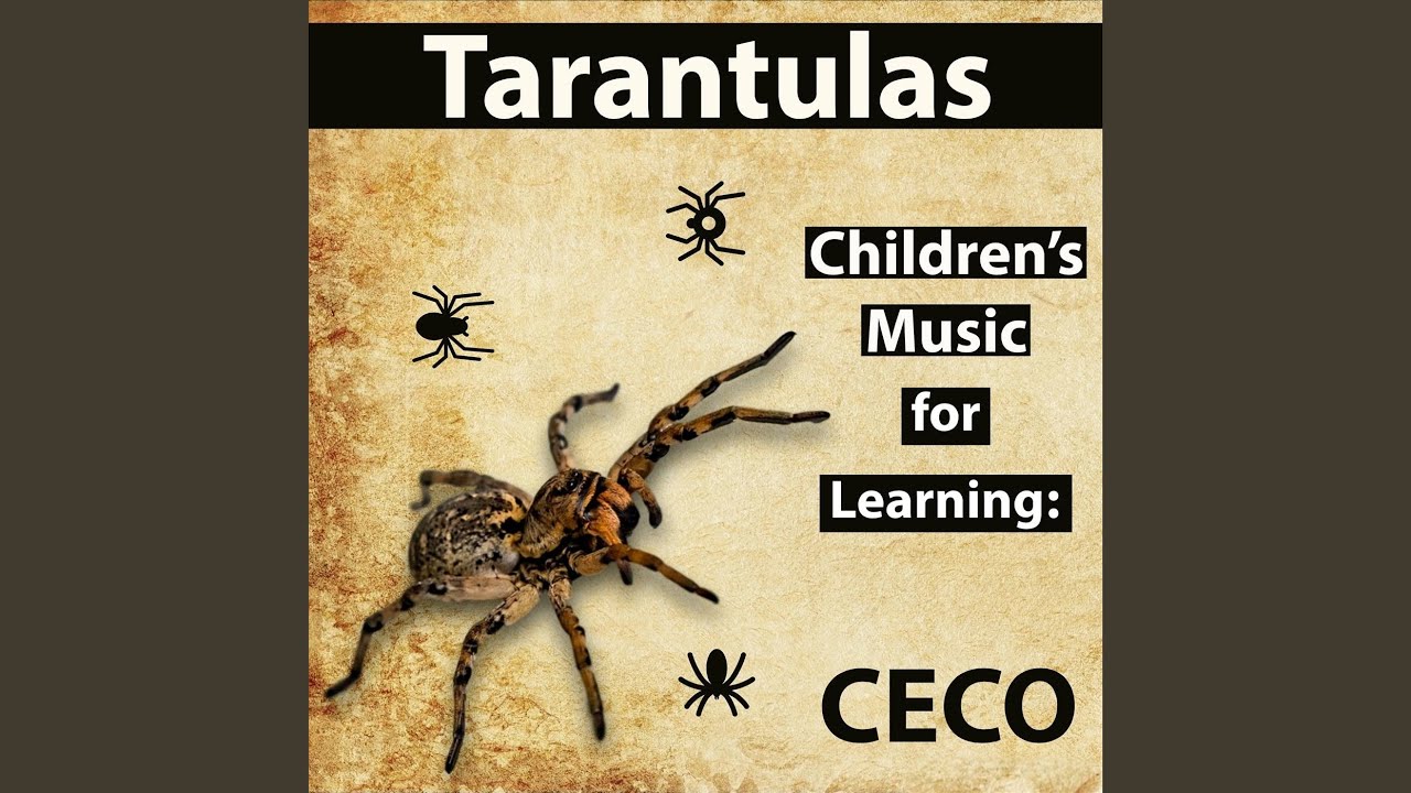 Children's Music for Learning: Tarantulas - YouTube