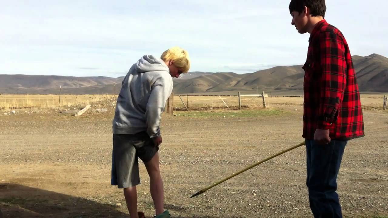 Cattle prod time - YouTube