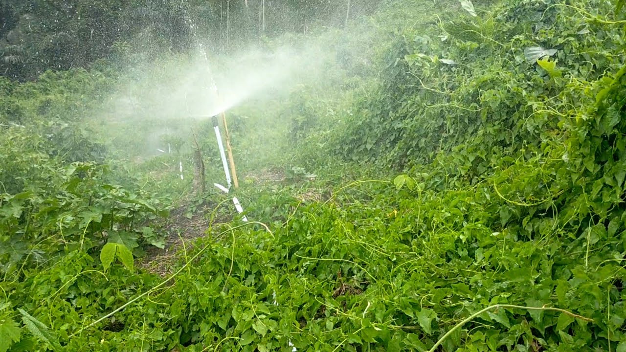 Semburan air dari instalasi pipa sangat kencang - YouTube