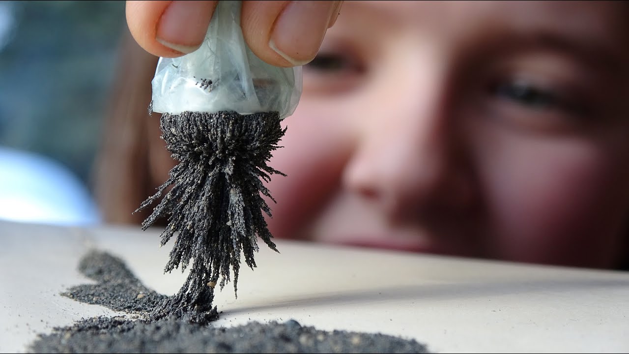 Dig up Something Magical - You Can Do This! - YouTube