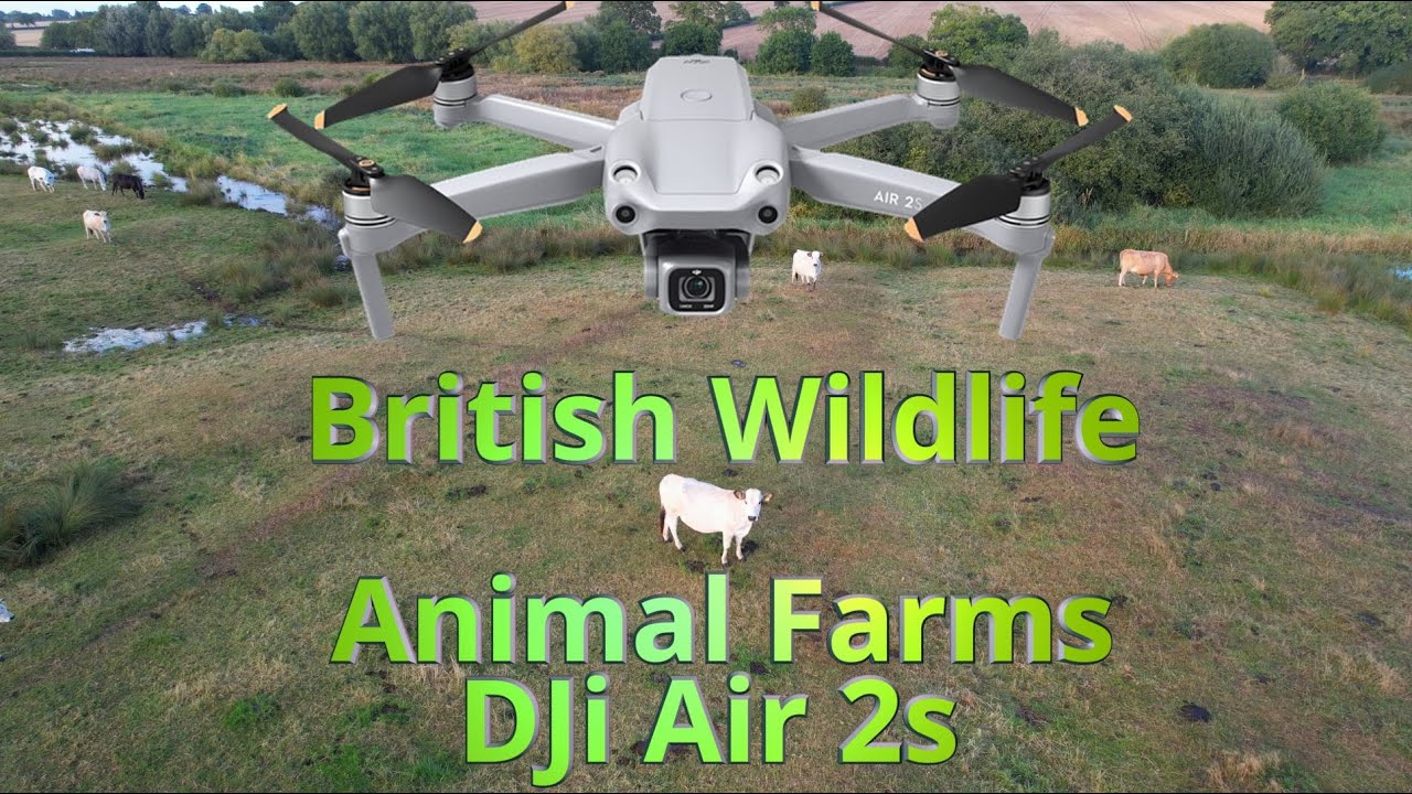British Animal Wildlife Farms at England, Aerial Footage with DJi Air ...