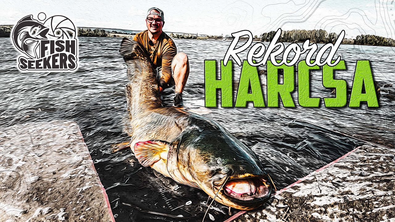 ÍGY fogtam ÓRIÁS HARCSÁT pergetve - Felszerelés, csali és harcsa ...