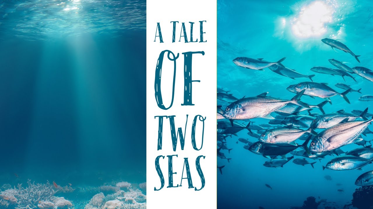 A Tale of Two Seas - YouTube