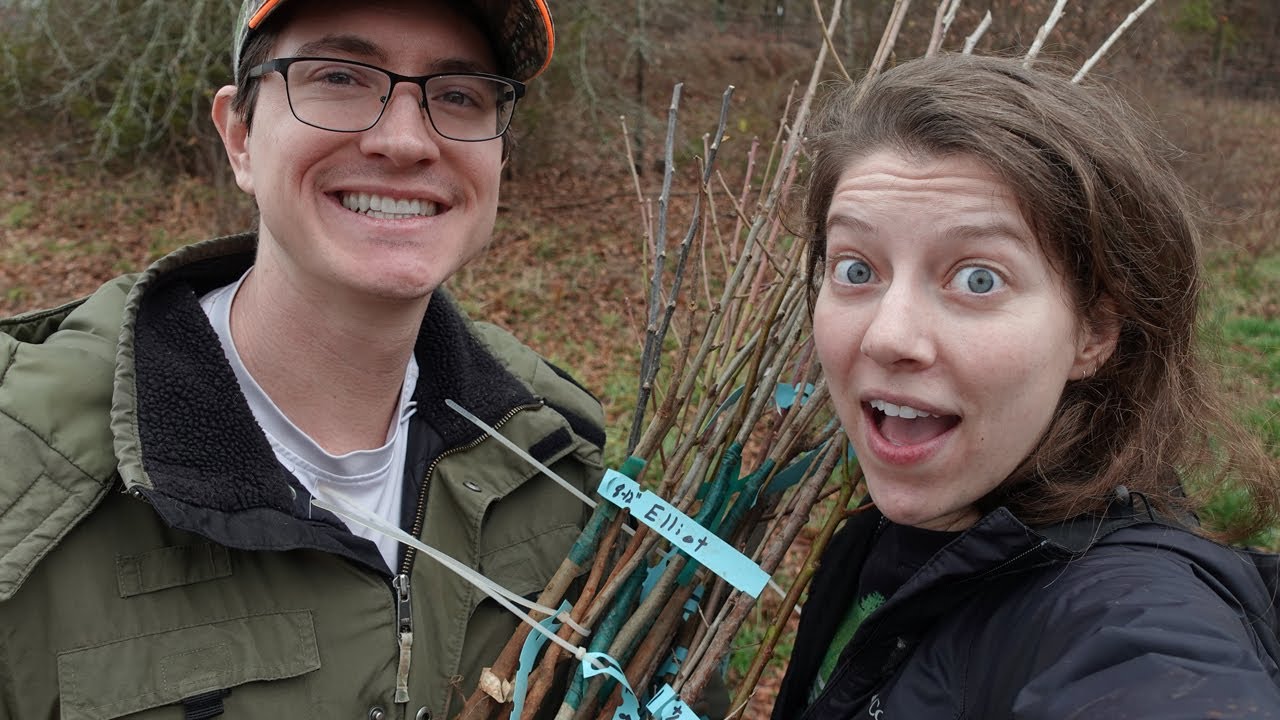 Willis Orchards Fruit Tree Haul Spring 2024! | Wild Pines Farm - YouTube