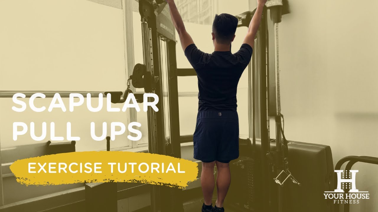How to Do Scapular Pull Ups - YouTube