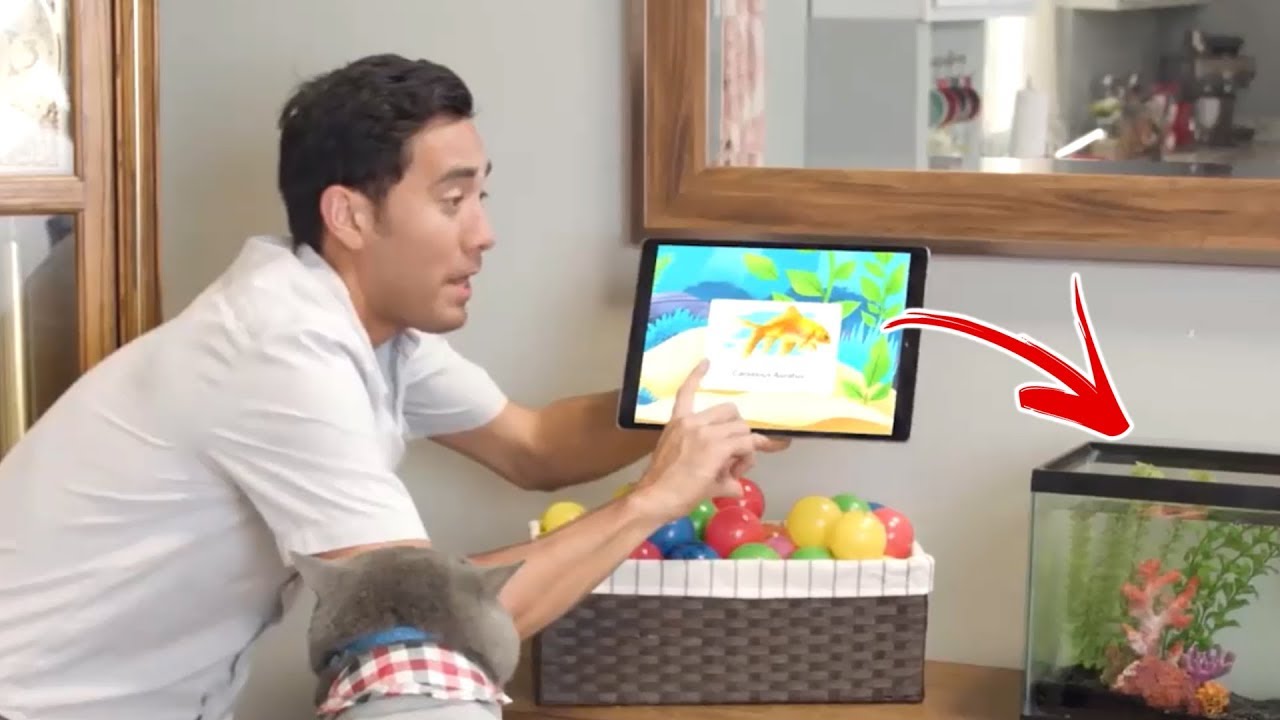 Top 100 Zach King Magic Tricks Show Ever | Funny Vines with Zach King ...