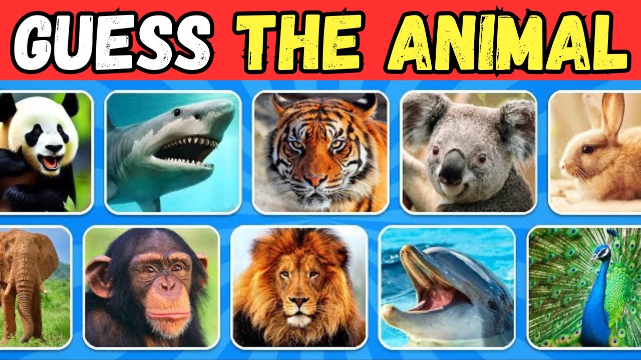 Guess the Animal Challenge! Can You Name Them All? - YouTube