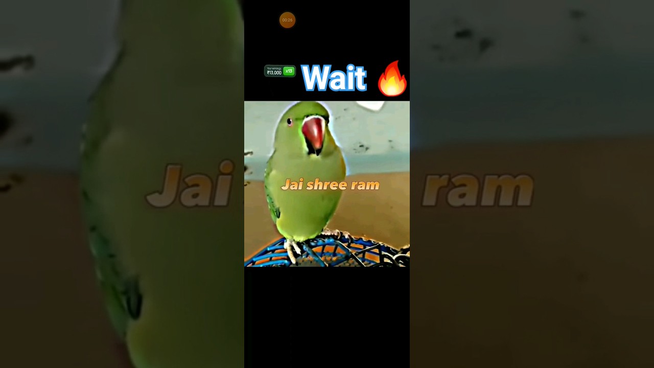 SIGMA🗿🦜 PARROT🦜|| || Jai shree ram🚩 🕉️ || #shorts - YouTube