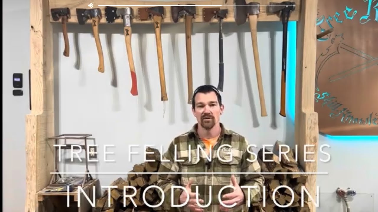 Tree felling series introduction - YouTube