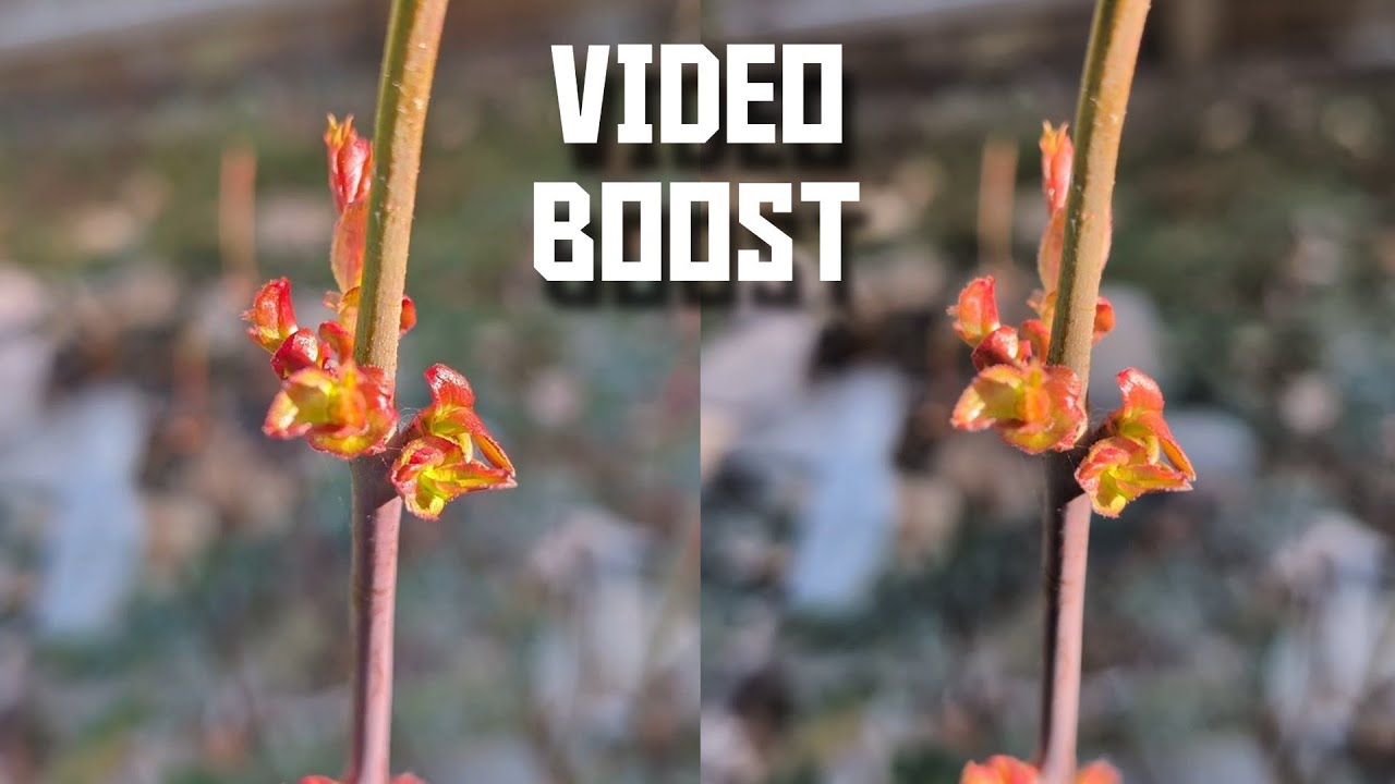 Pixel 8 Pro Video Boost Test - YouTube