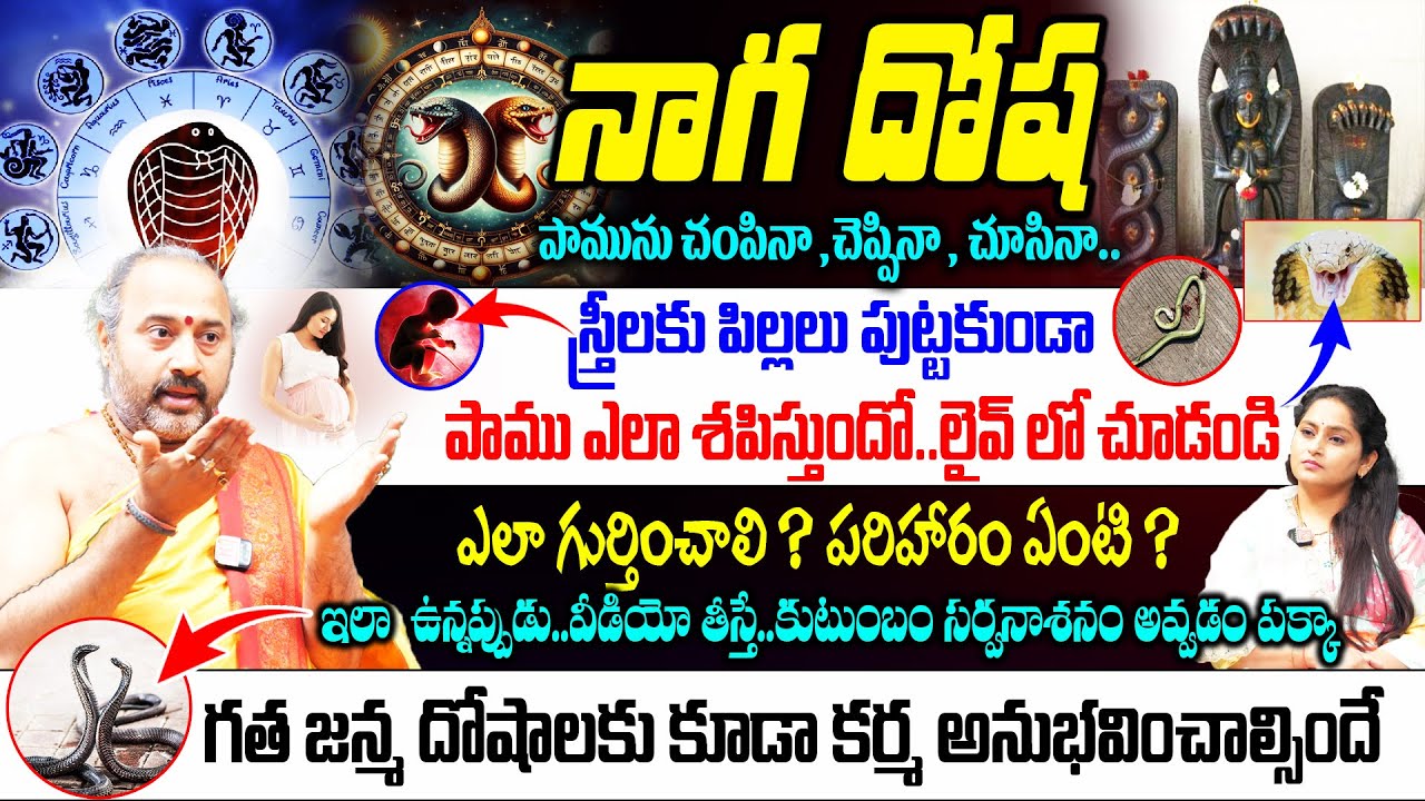 నాగ దోష..పాము ఎలా శపిస్తుందో..లైవ్ లో చూడండి 😱| Naga dosham pariharam ...